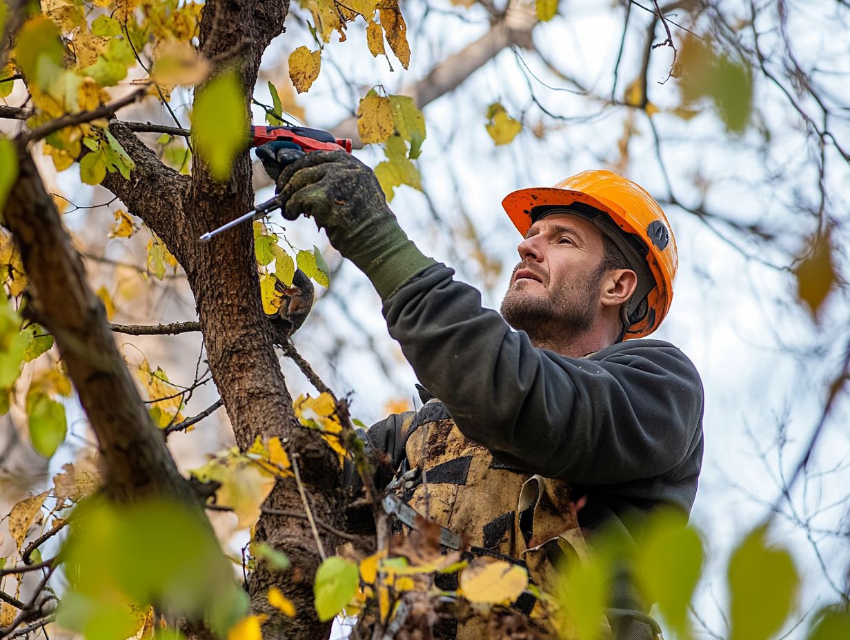 What Happens When You Neglect Your Trees? London's Top Tree Surgeons ...