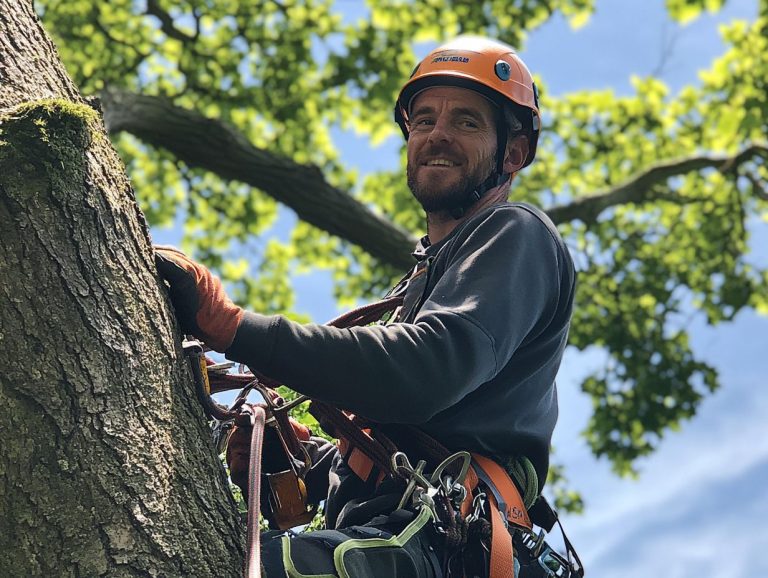 What Does a Tree Surgeon Do? Inside the World of Tree Doctoring - Green ...